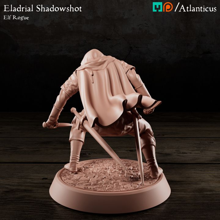 3D Printable Male Elf Rogue - Eladrial Shadowshot - Daggers by Atlanticus Arts